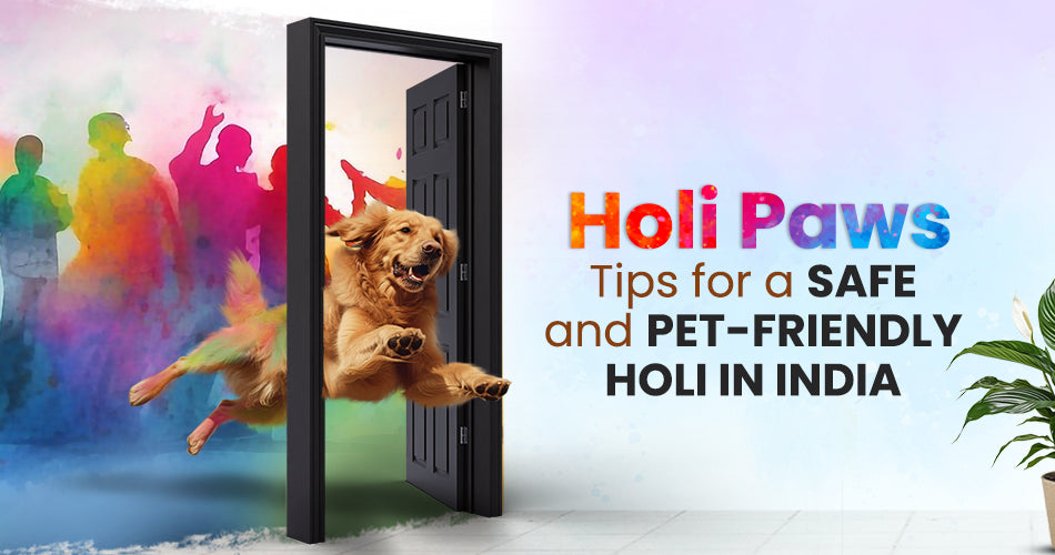 Holi Paws: Tips for a Safe and Pet-Friendly Holi in India