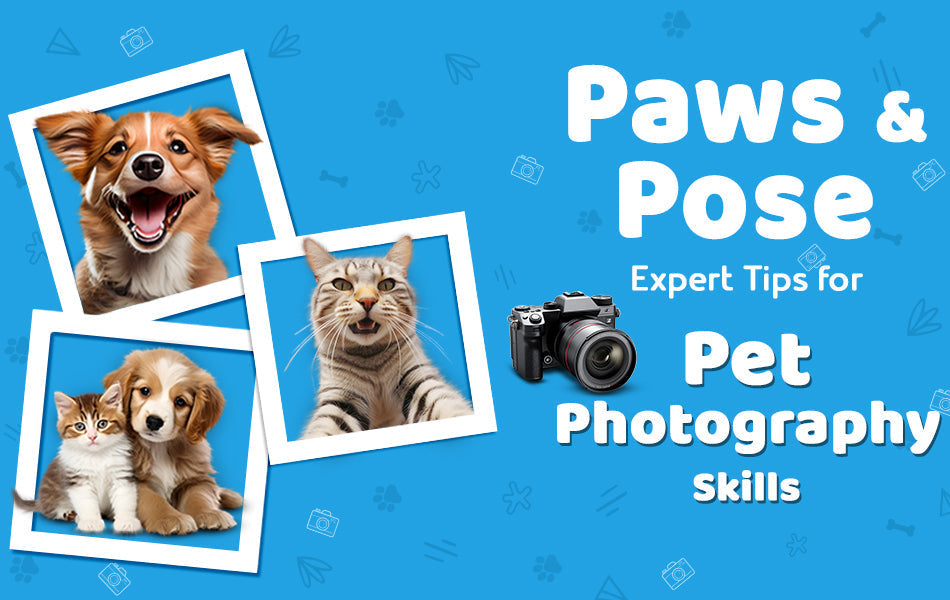 Paws & Pose: Expert Tips for Pet Photography Skills